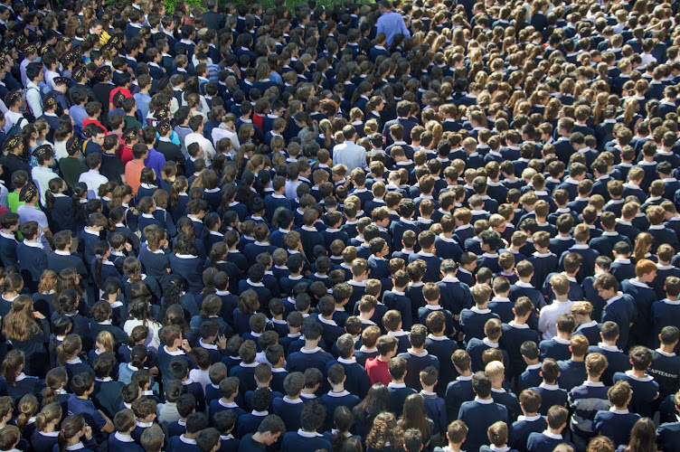 Collège Stanislas - Paris Top Ten