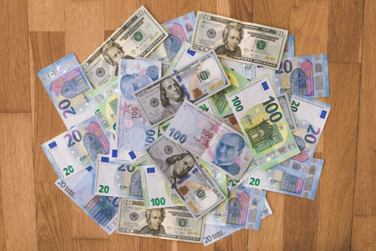 What Currency Does France Use? Understanding the Euro in France