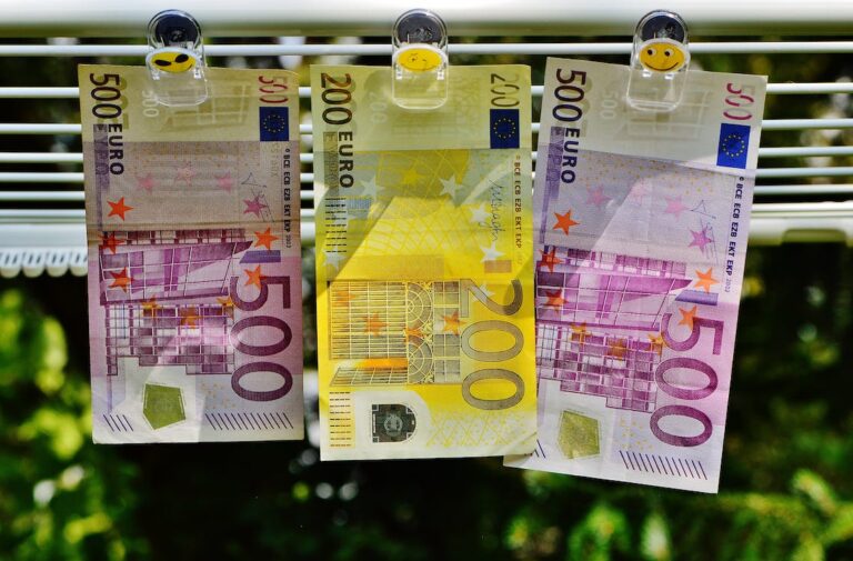 What Currency Does France Use? Understanding the Euro in France