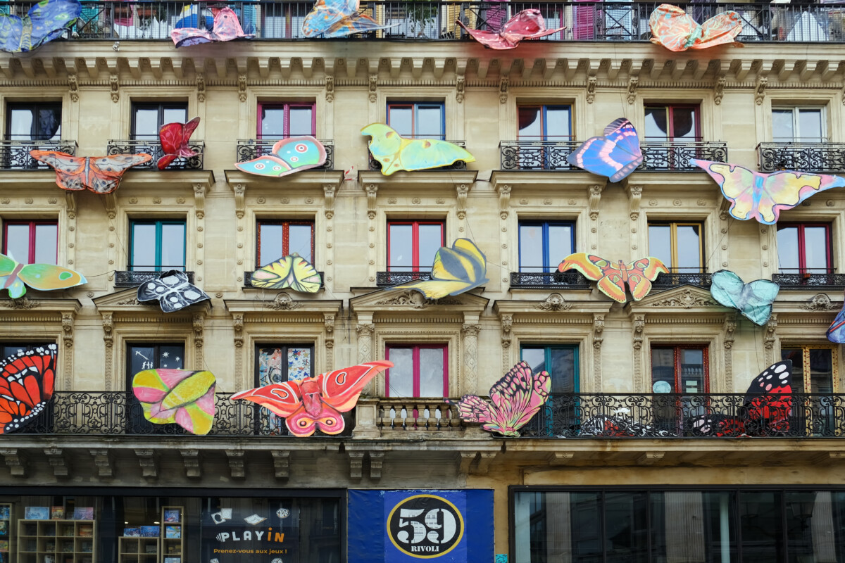 The Artistic Side of Paris: Exploring Local Art Studios and Co-Ops