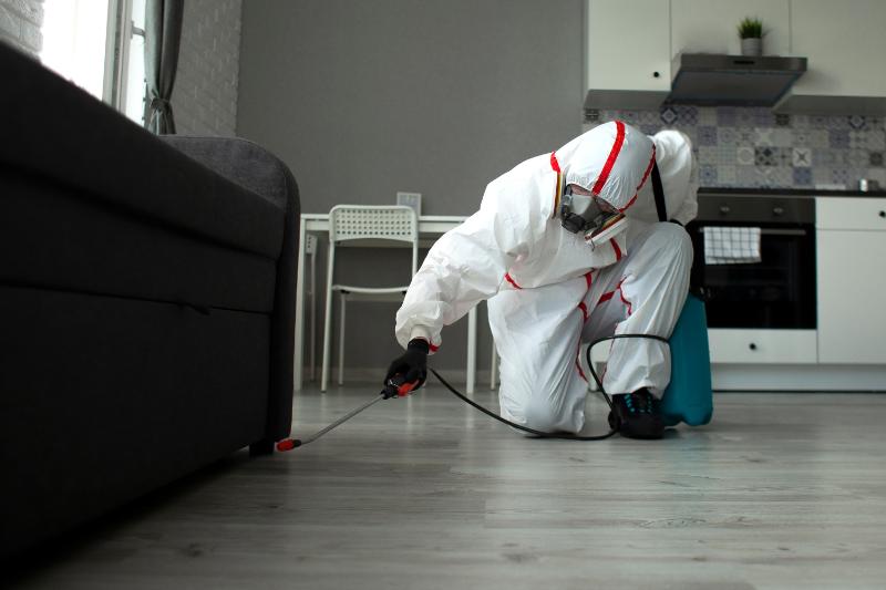 Best Pest Control in Paris France: Top Exterminators for Residential ...