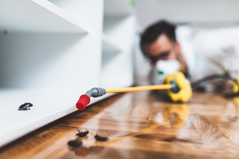 Best Pest Control in Paris France: Top Exterminators for Residential ...