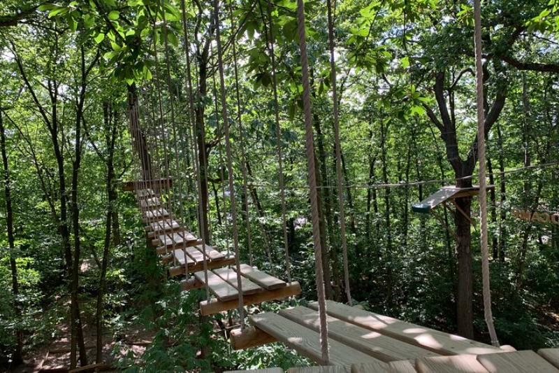 Forêt de Meudon Reviews (January 2026)