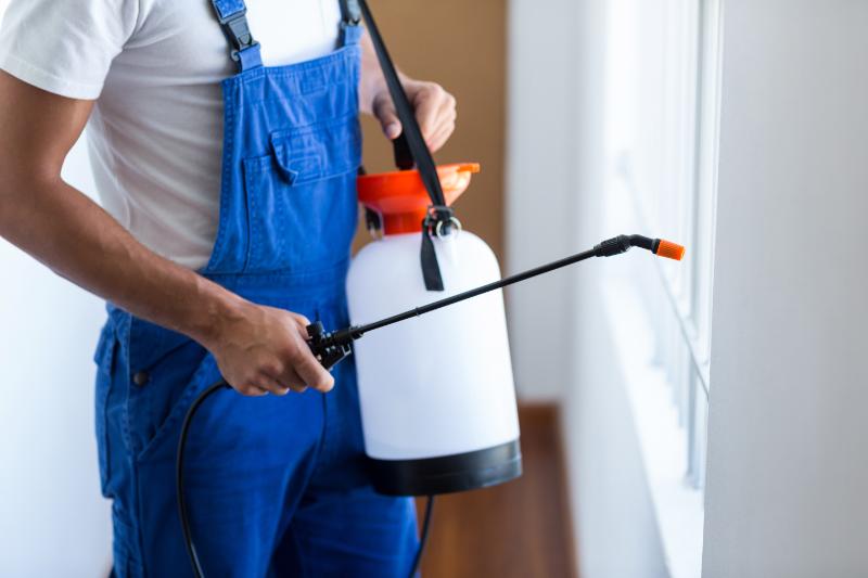 Best Pest Control in Paris France: Top Exterminators for Residential ...