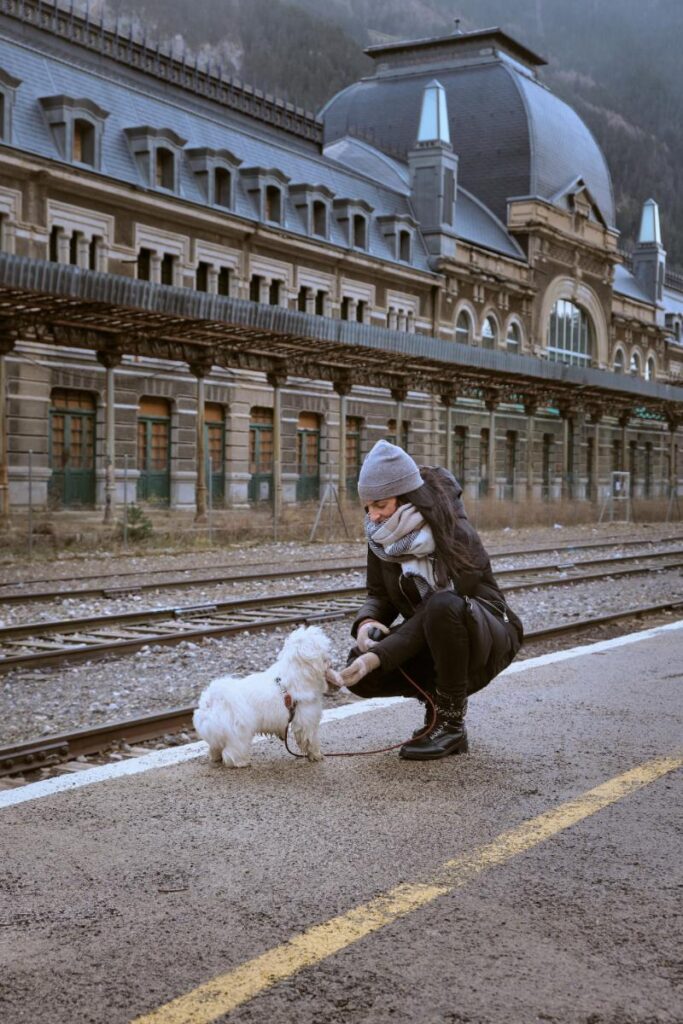 Is Paris Dog-Friendly? A Comprehensive Guide for Canine Lovers